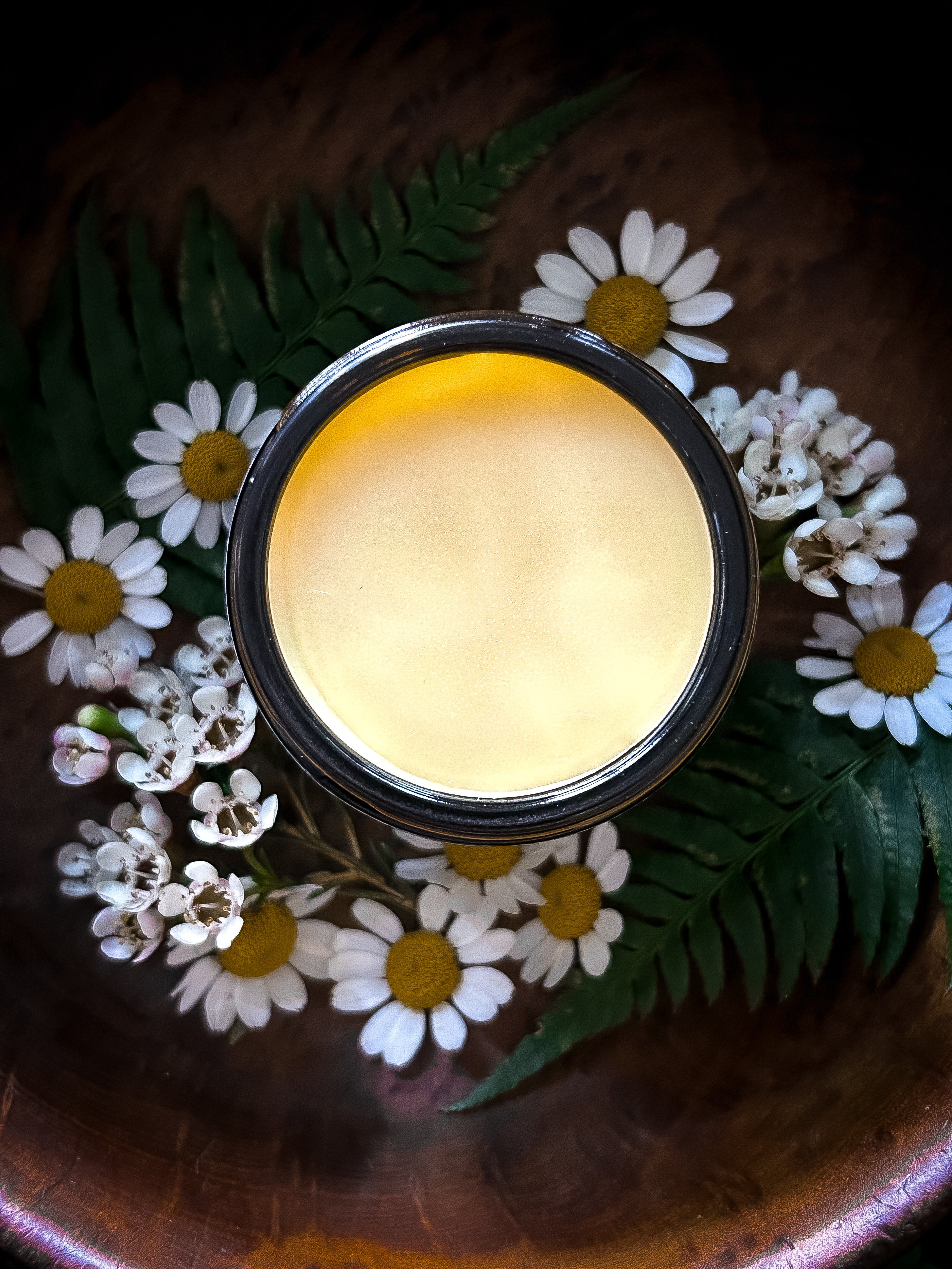Salve – Wild Women Herbs