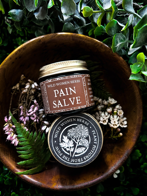 Pain Salve – Wild Women Herbs