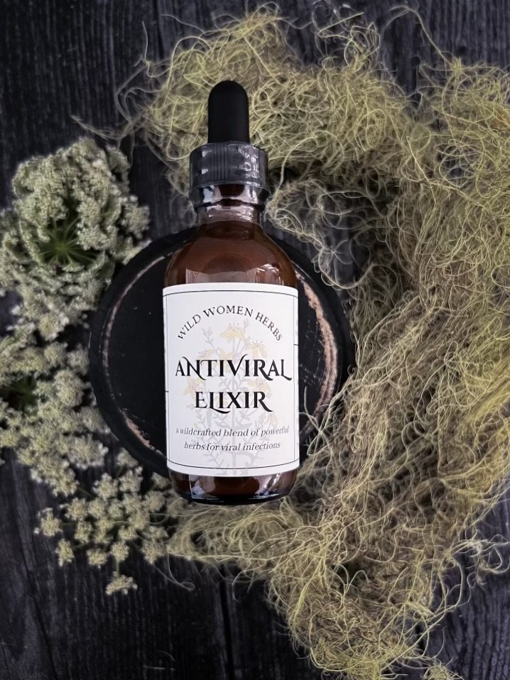 Antiviral Elixir – Wild Women Herbs